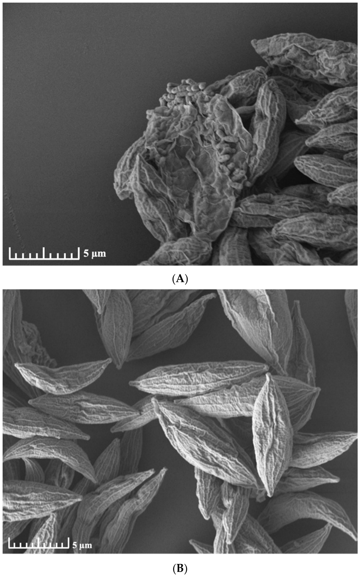 Genome-Based Analysis of Chromosomal Colistin Non-Susceptibility in ...