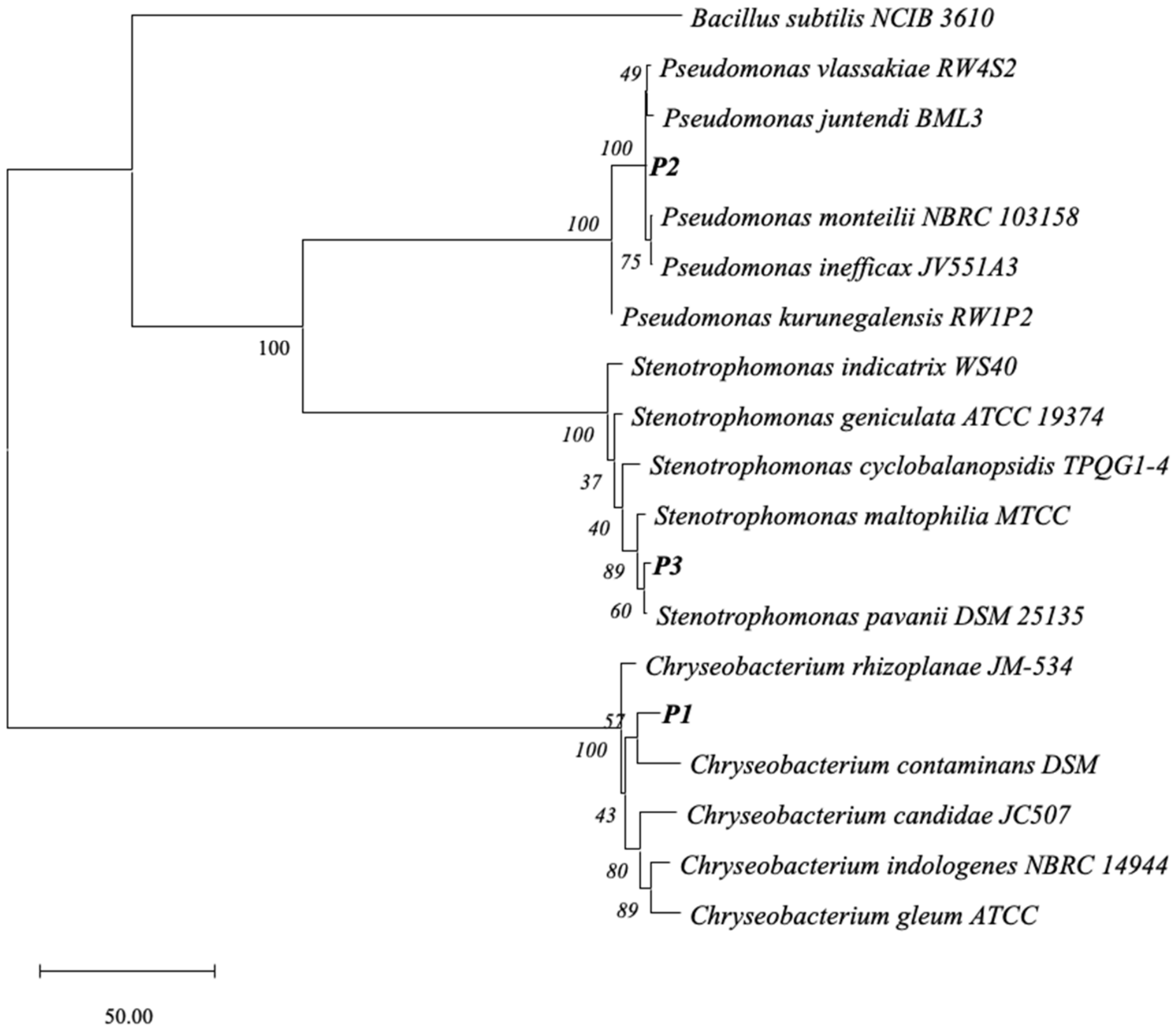 Genome-Based Analysis of Chromosomal Colistin Non-Susceptibility in ...