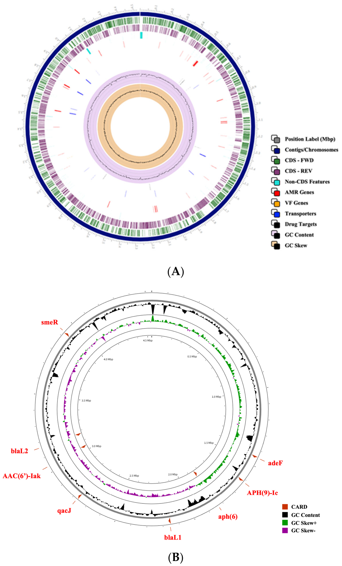 Genome-Based Analysis of Chromosomal Colistin Non-Susceptibility in ...