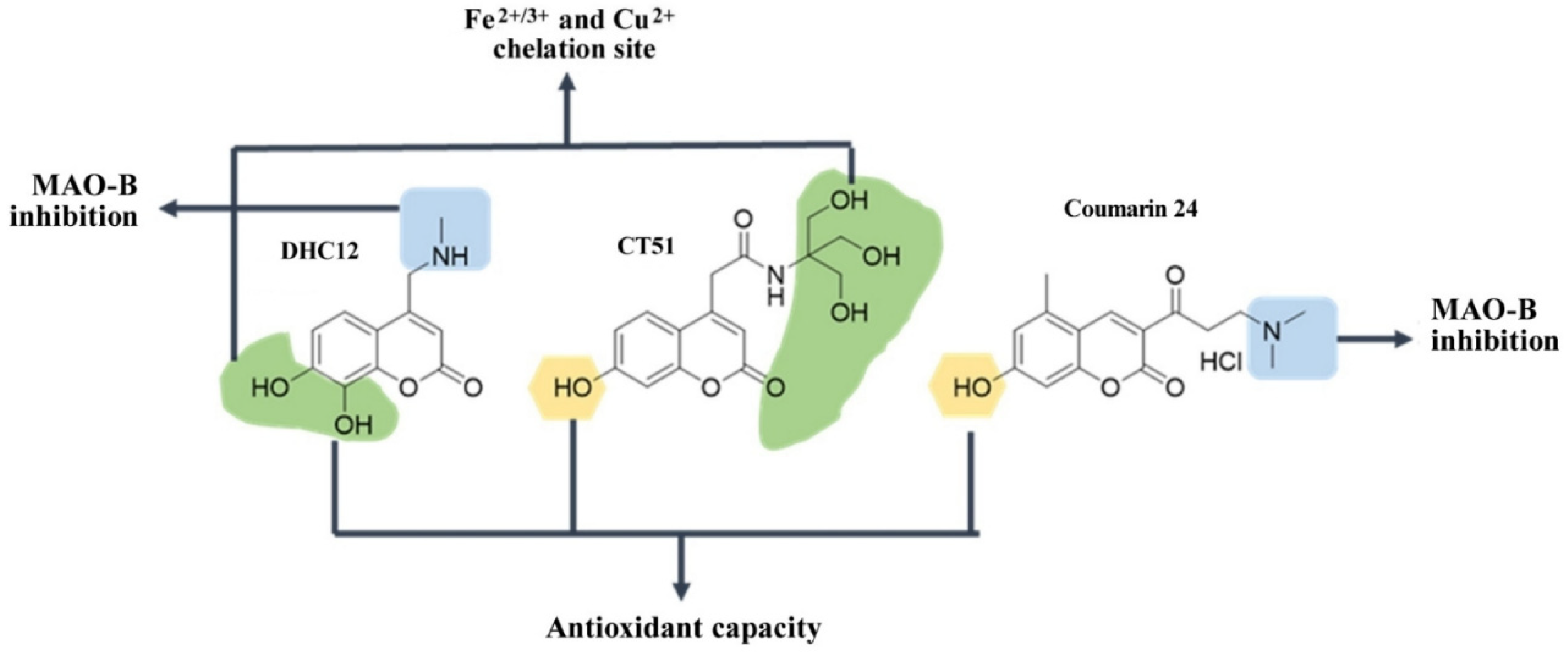 Antioxidants Free Full Text On The Chemical And Biological Antioxidants Free Full Text On The Chemical And Biological