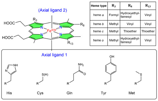 NO and Heme Proteins: Cross-Talk between Heme and Cysteine Residues
