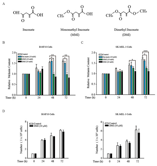 Dimethyl Itaconate Inhibits Melanogenesis in B16F10 Cells