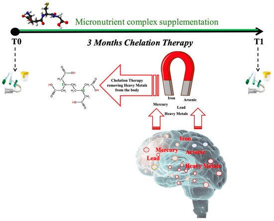 Chelation Therapy Associated with Antioxidant Supplementation Can ...