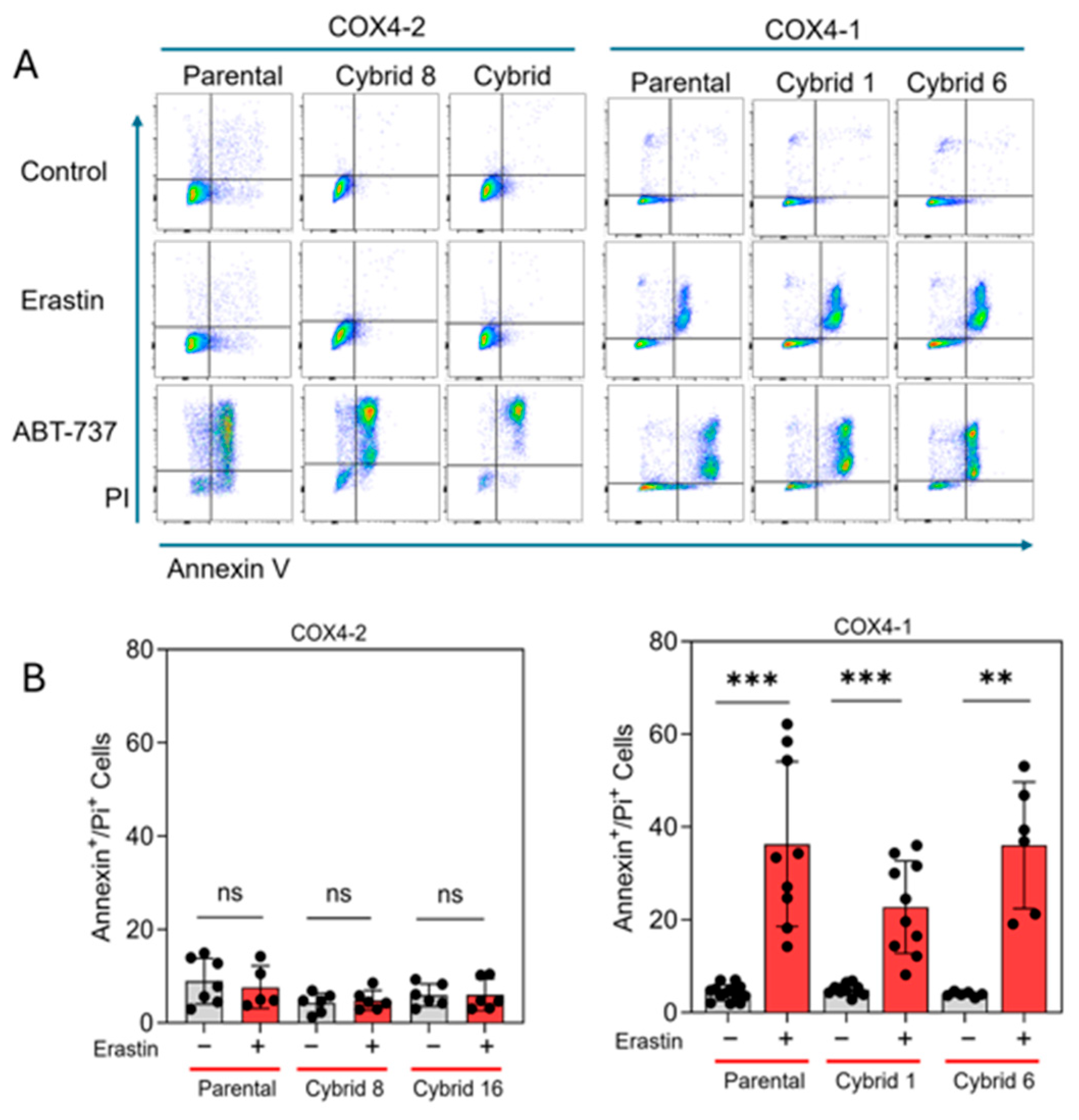 Cytochrome c Oxidase Subunit COX4-1 Reprograms Erastin-Induced Cell ...