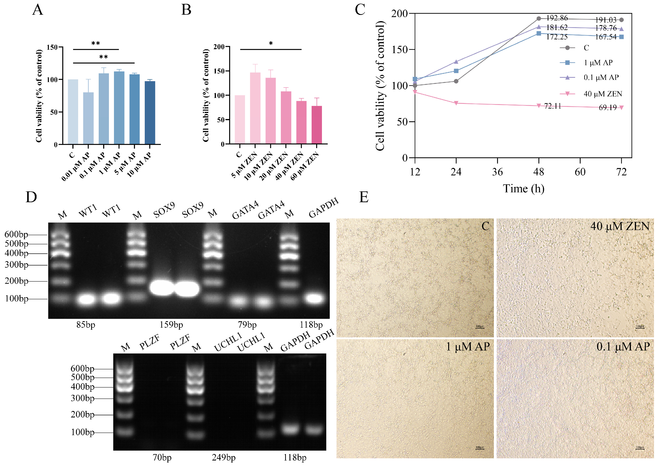 Apigenin Alleviates Zearalenone-Induced Oxidative Stress and Apoptosis ...