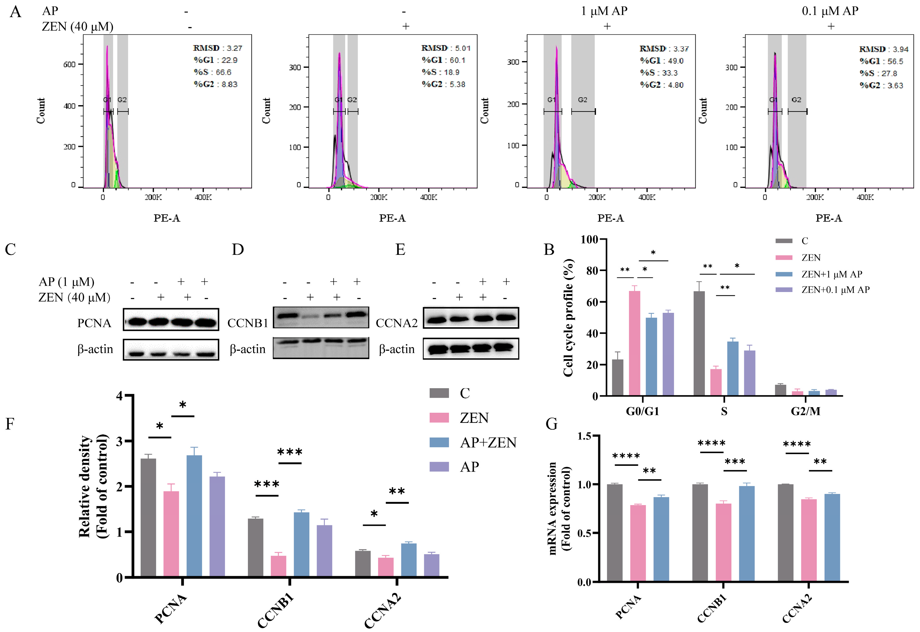 Apigenin Alleviates Zearalenone-Induced Oxidative Stress and Apoptosis ...