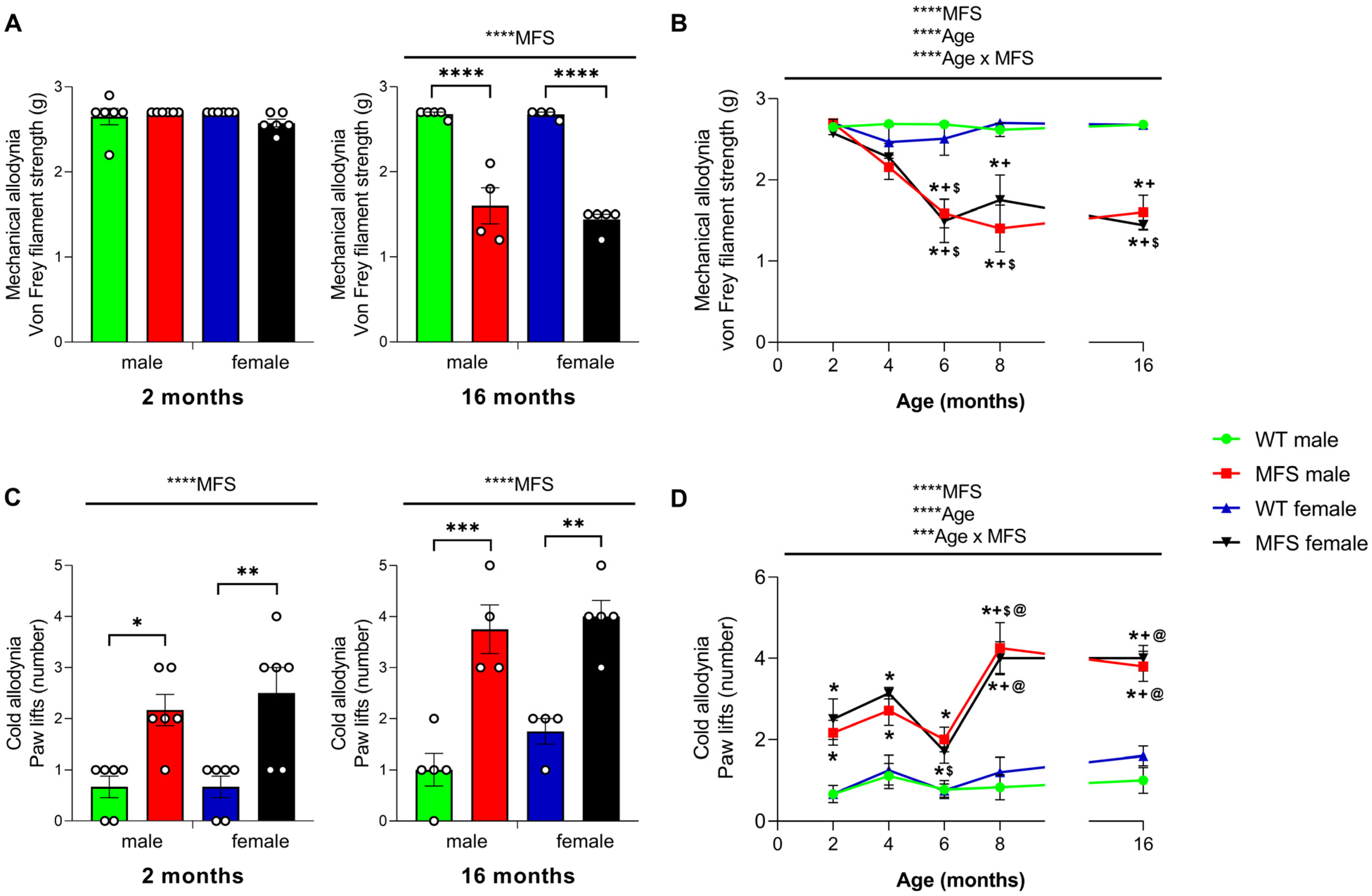 Pain Hypersensitivity in a Mouse Model of Marfan Syndrome