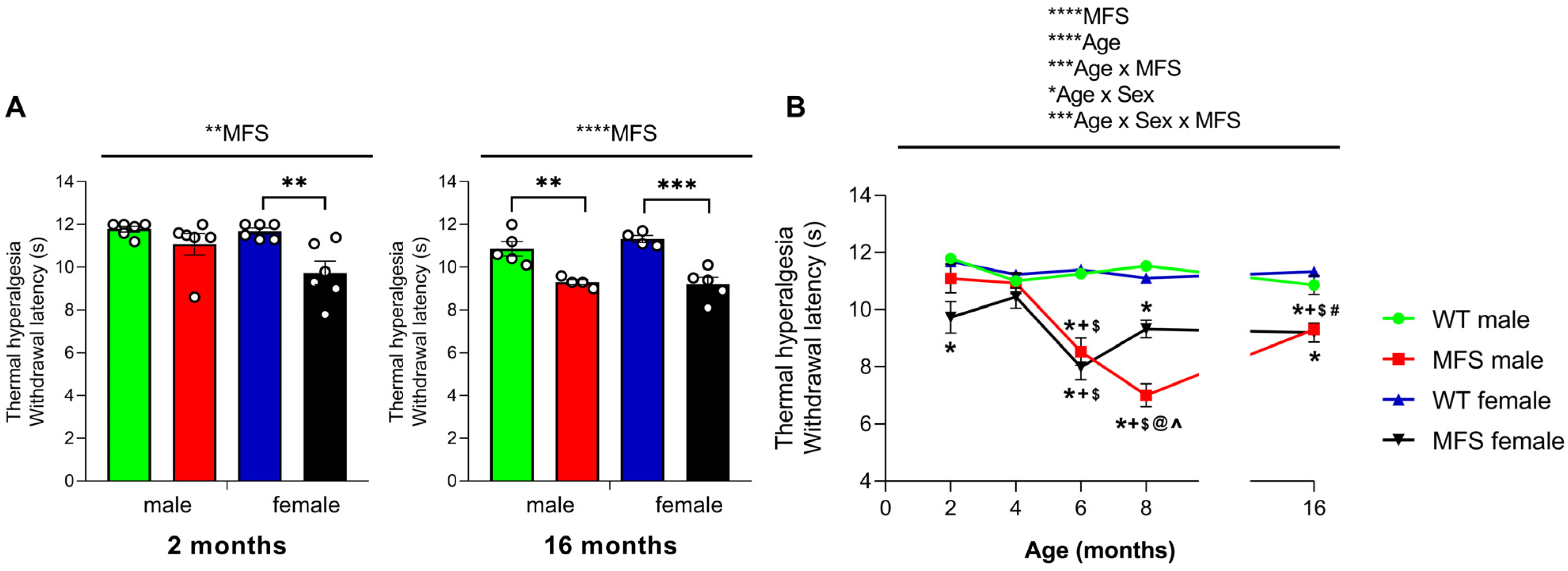 Pain Hypersensitivity in a Mouse Model of Marfan Syndrome