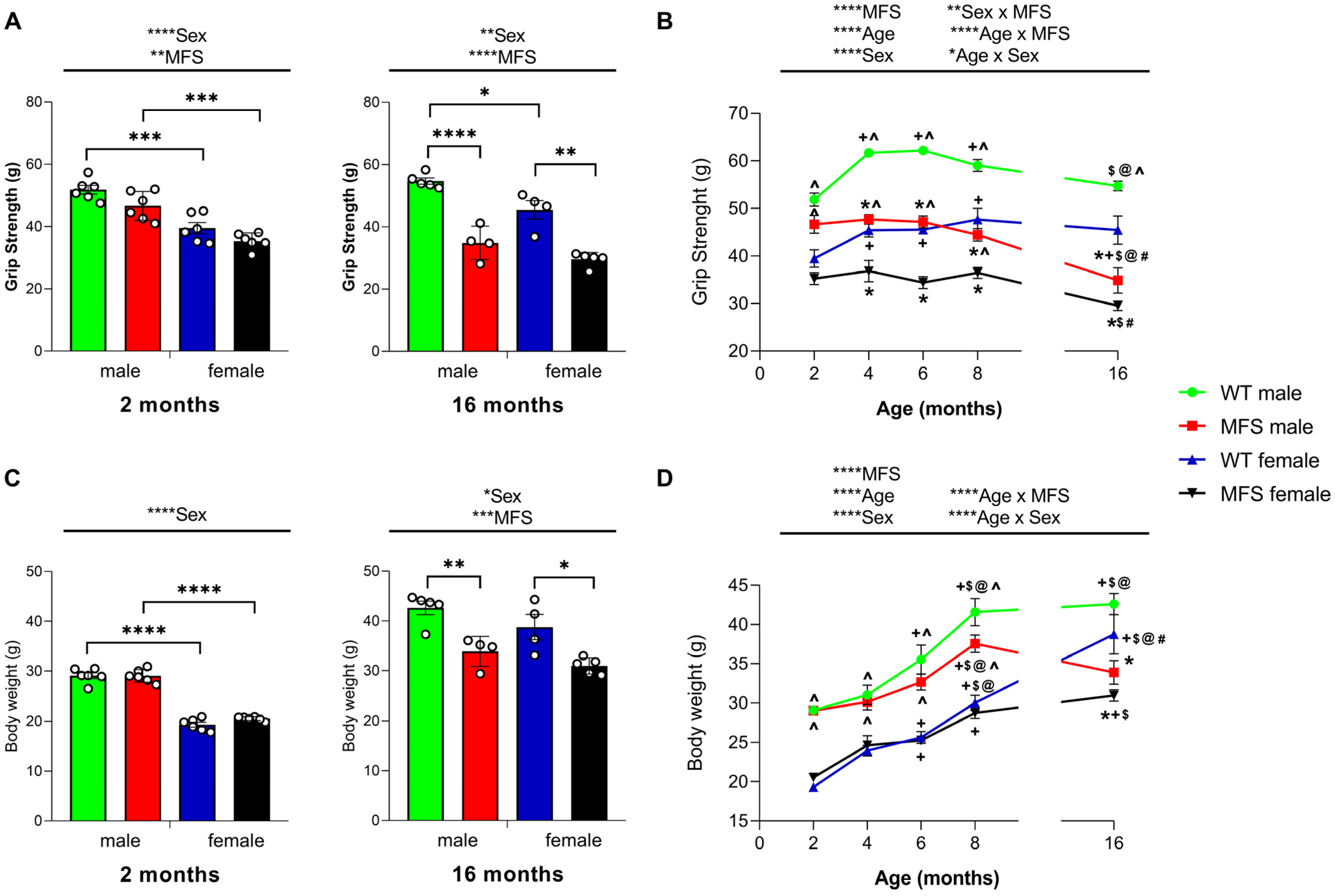 Pain Hypersensitivity in a Mouse Model of Marfan Syndrome