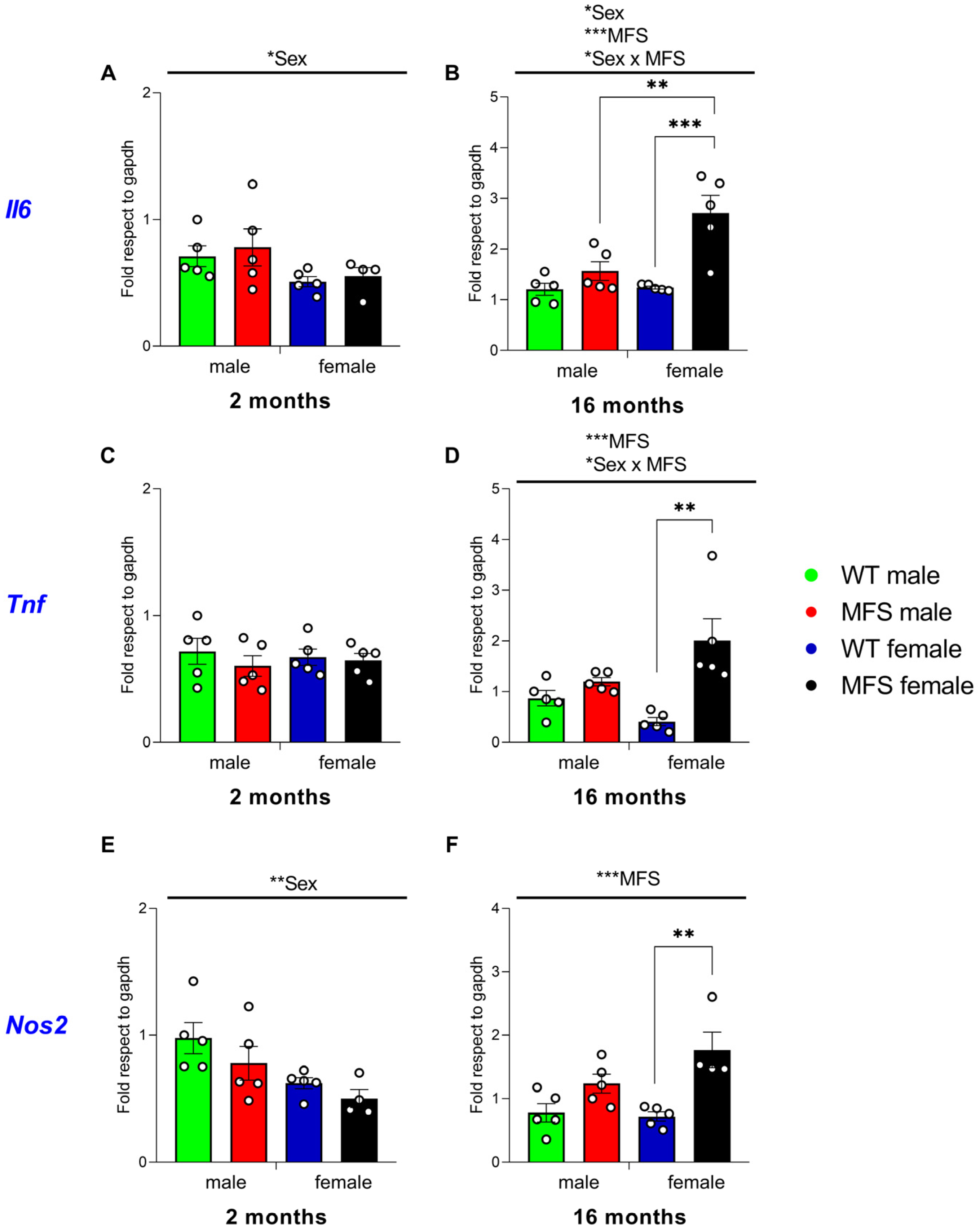 Pain Hypersensitivity in a Mouse Model of Marfan Syndrome