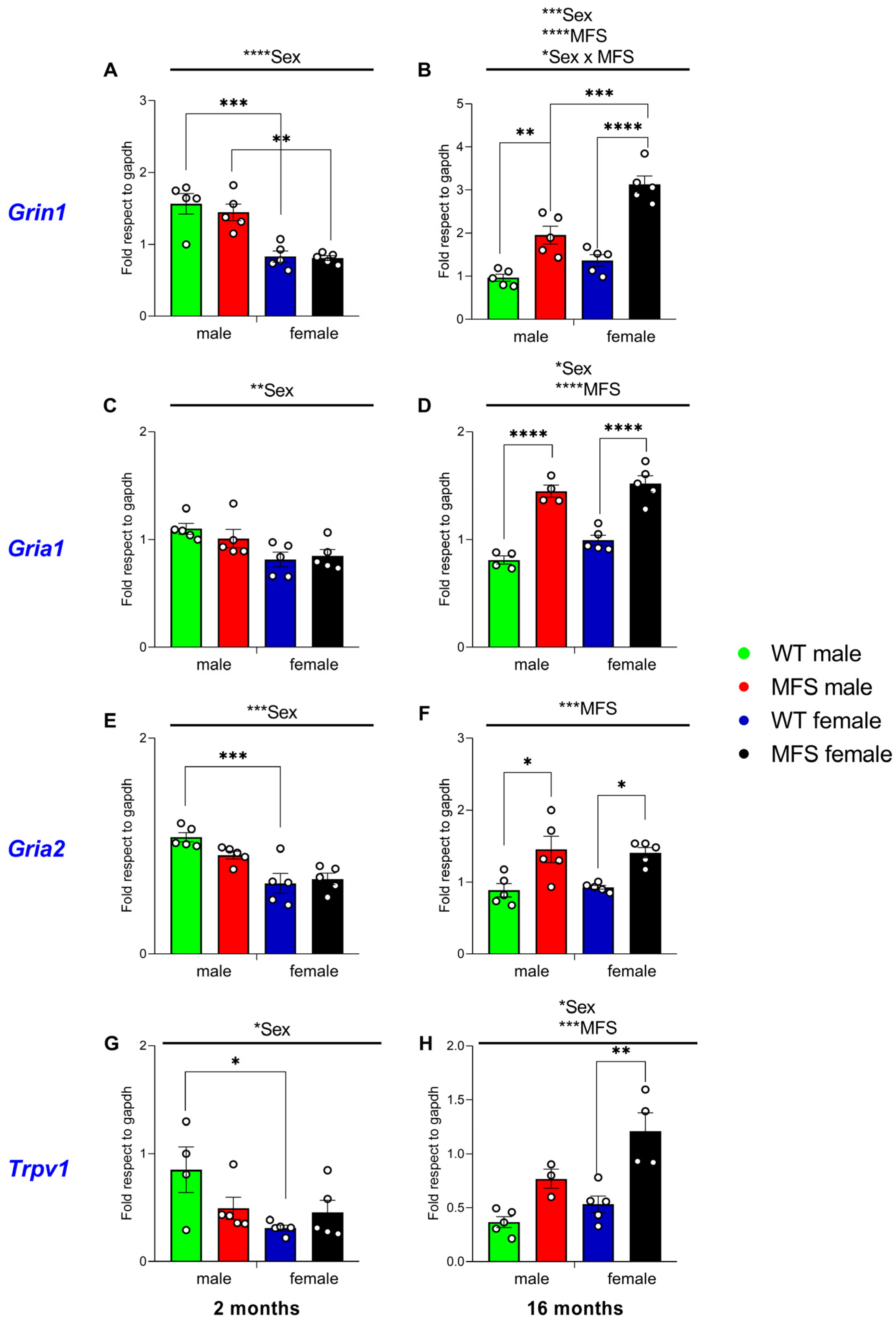 Pain Hypersensitivity in a Mouse Model of Marfan Syndrome