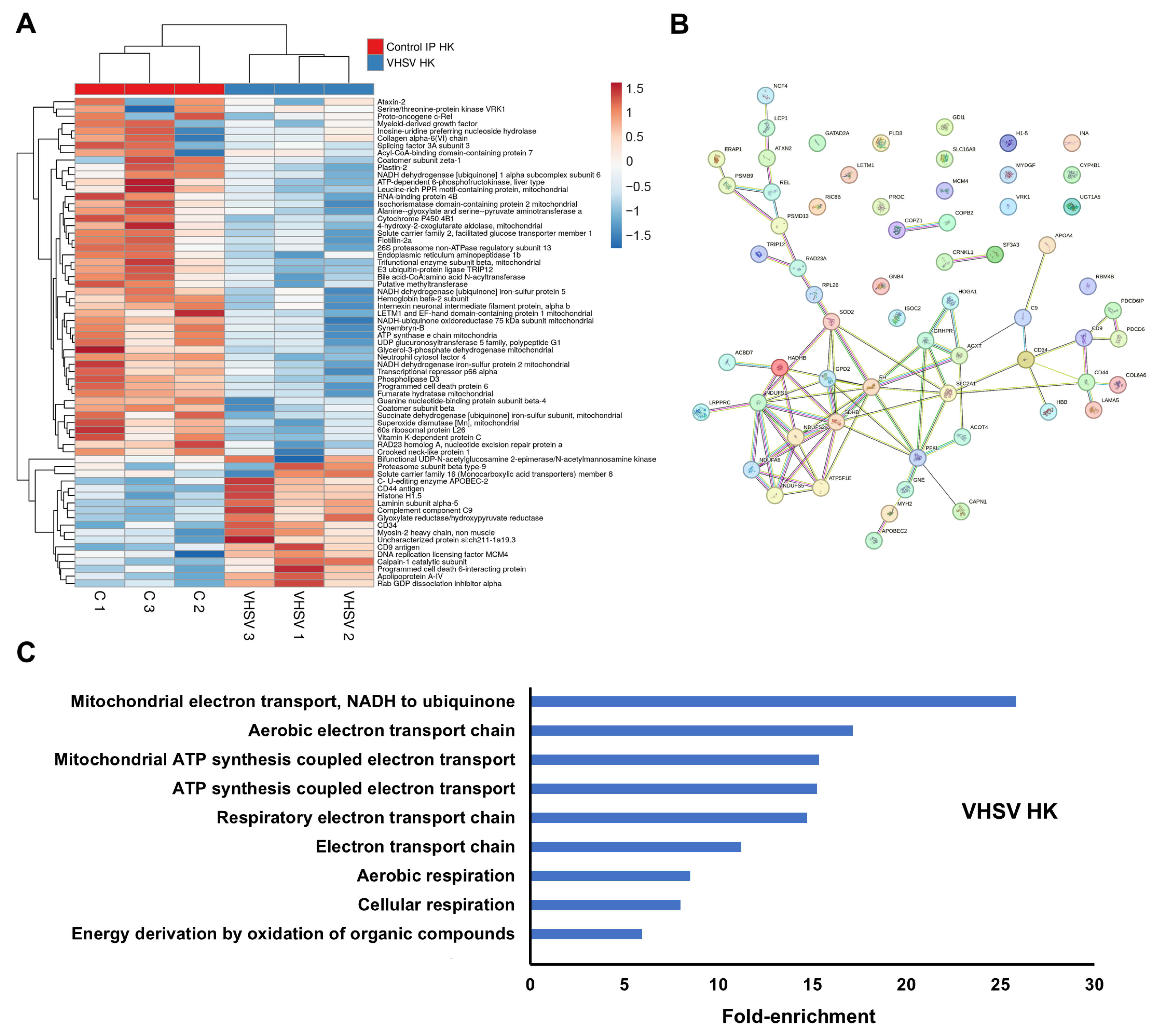 The Regulation of Oxidative Stress Is a Conserved Response to RNA Virus ...