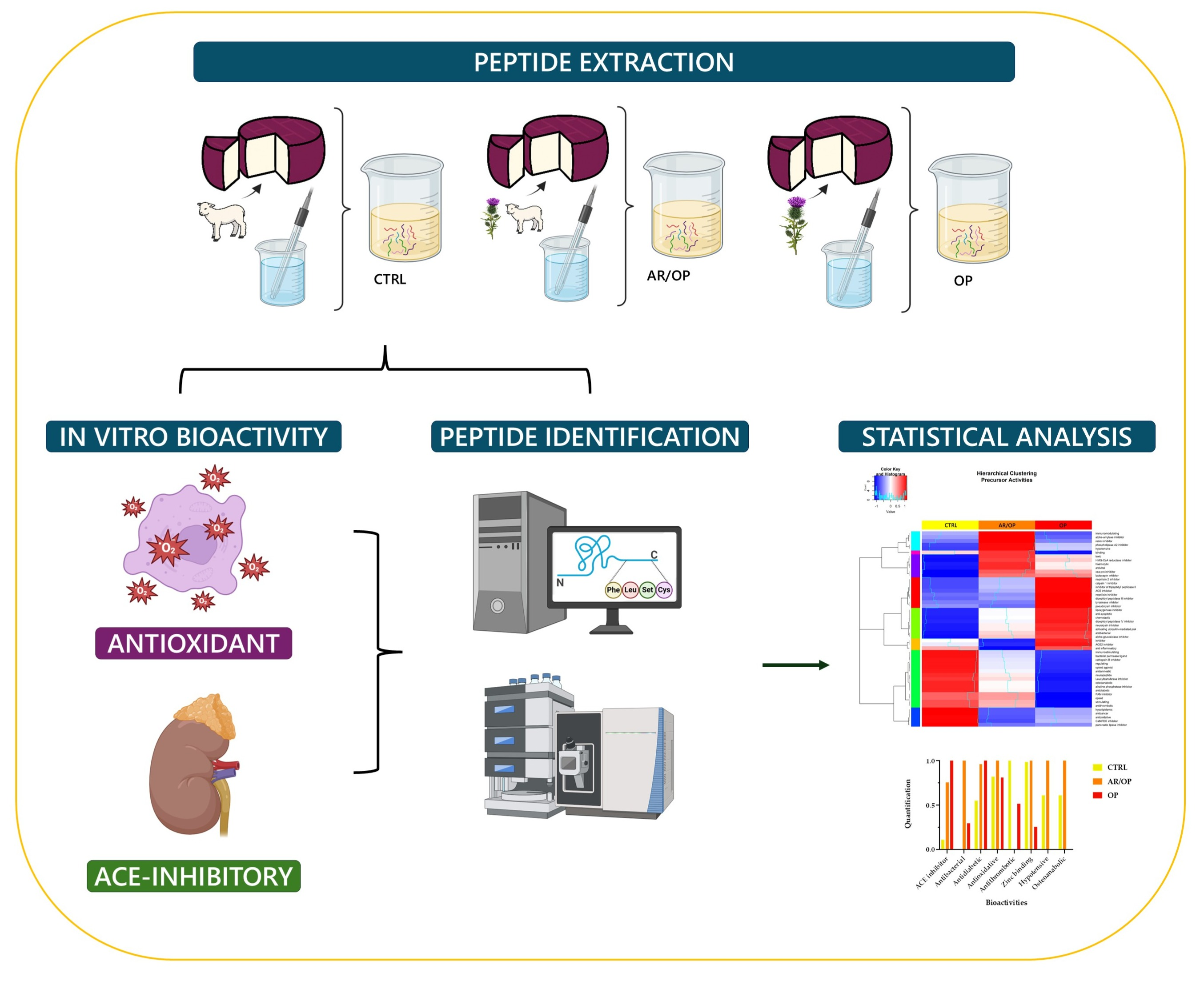 Influence of Onopordum platylepis Murb. as a Vegetable Coagulant on the ...