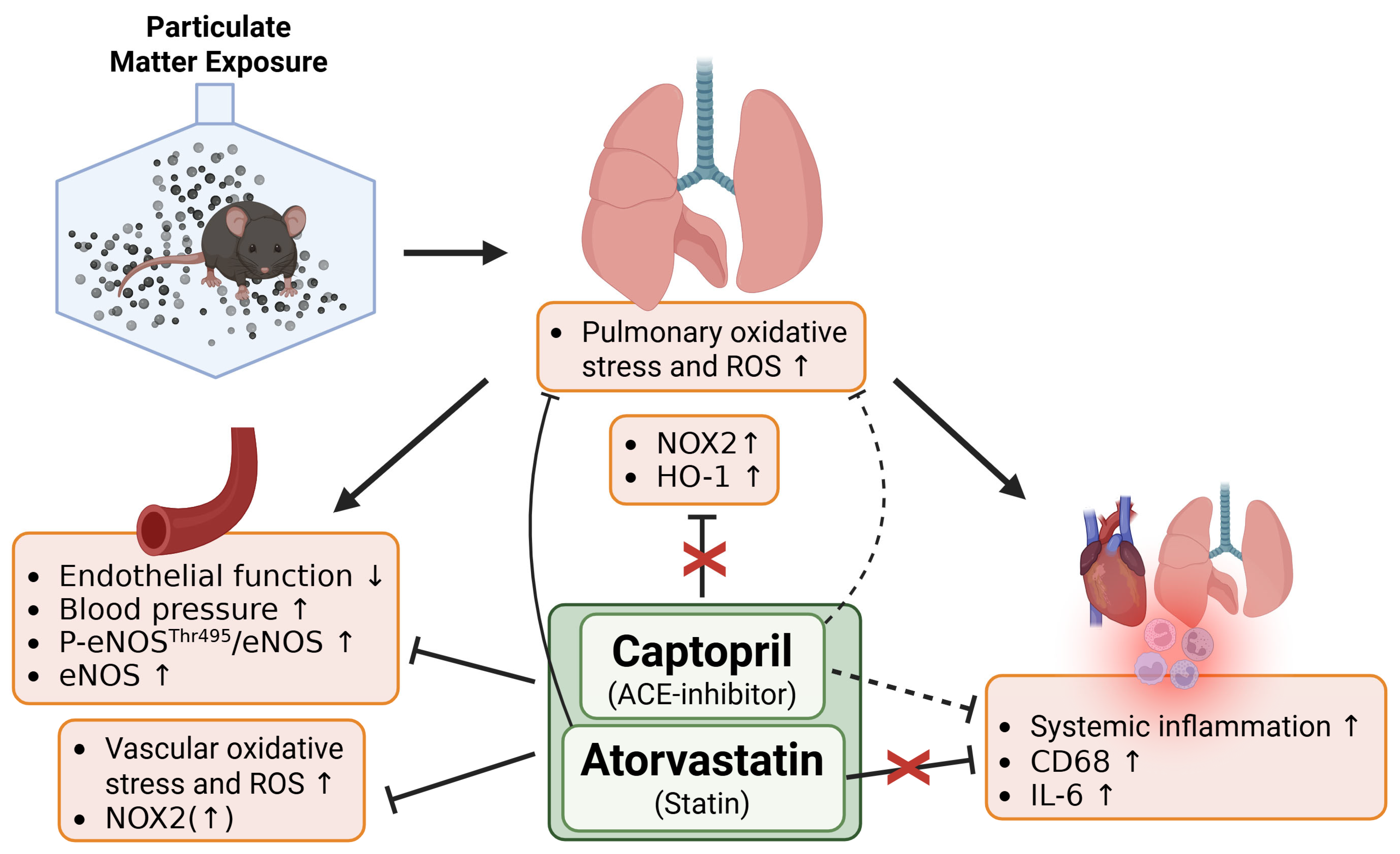 Angiotensin-Converting Enzyme (ACE) Inhibitors and Statins Mitigate ...