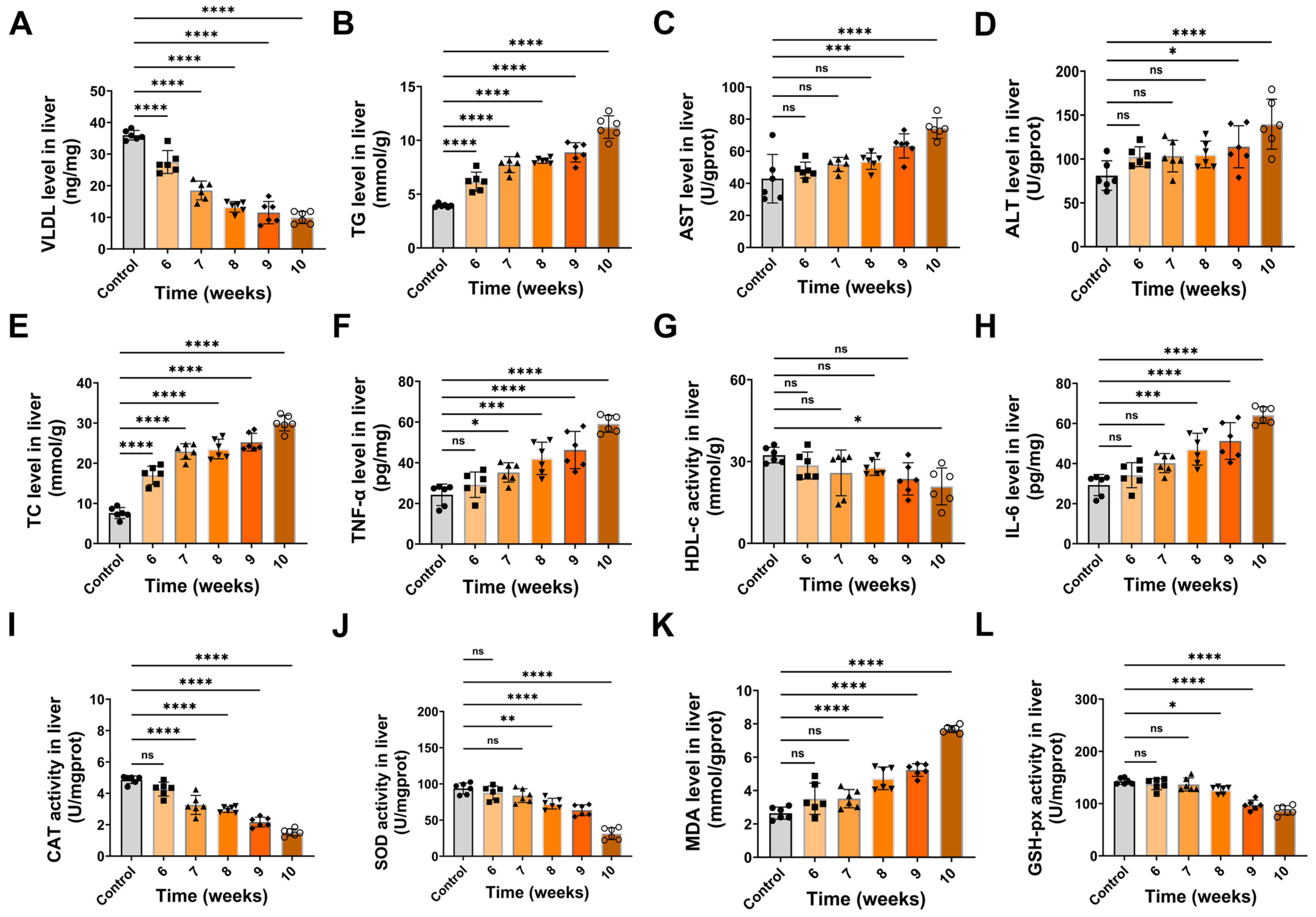 Choline Deficiency Drives the Inflammation–Fibrosis Cascade: A ...