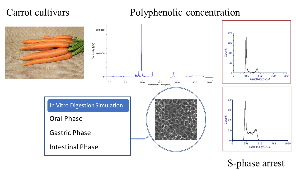Small but Mighty: Low Bio-Accessibility Preserves Polyphenols from Mini ...