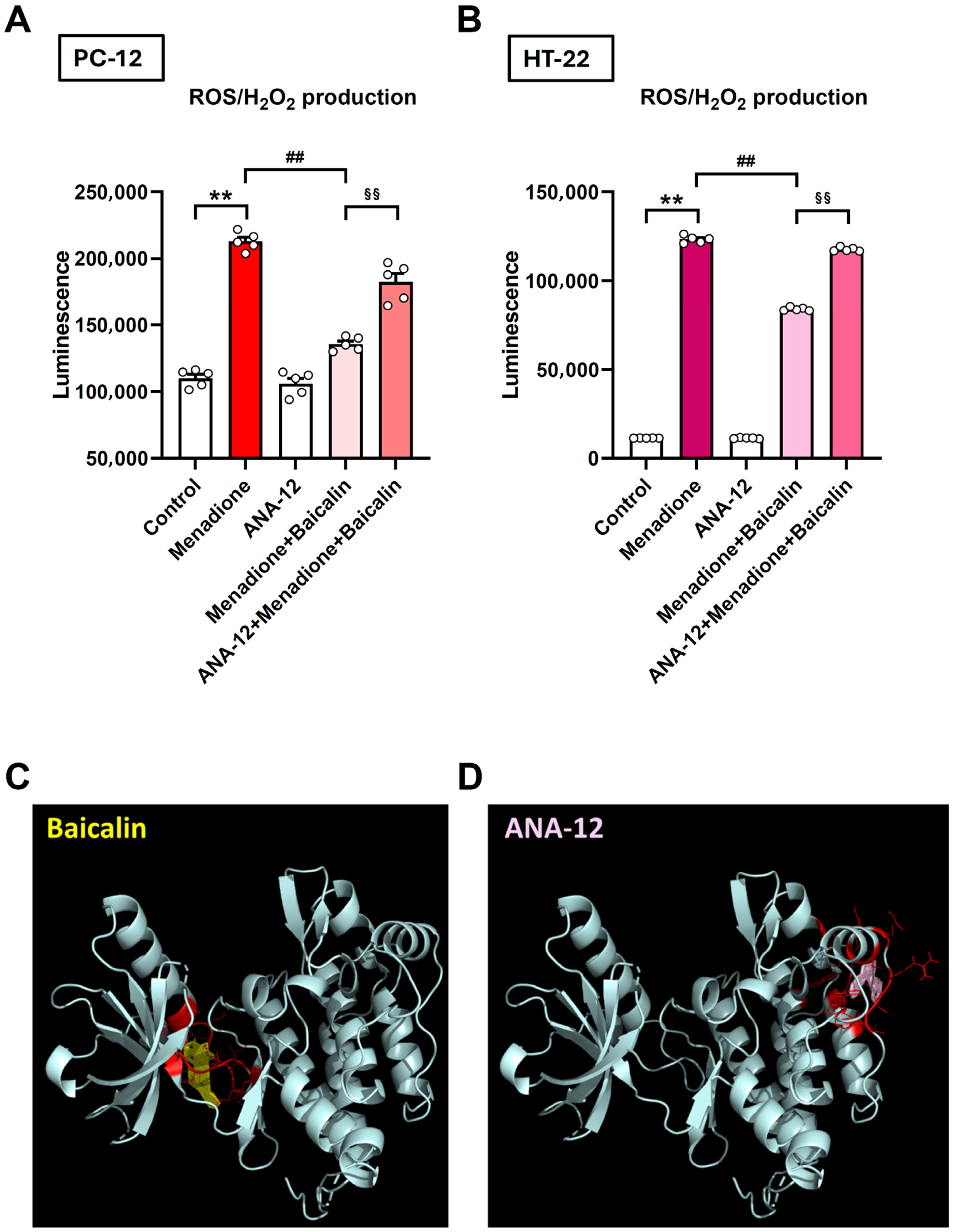 Baicalin Alleviates Chronic Restraint Stress-Induced Depression-like ...