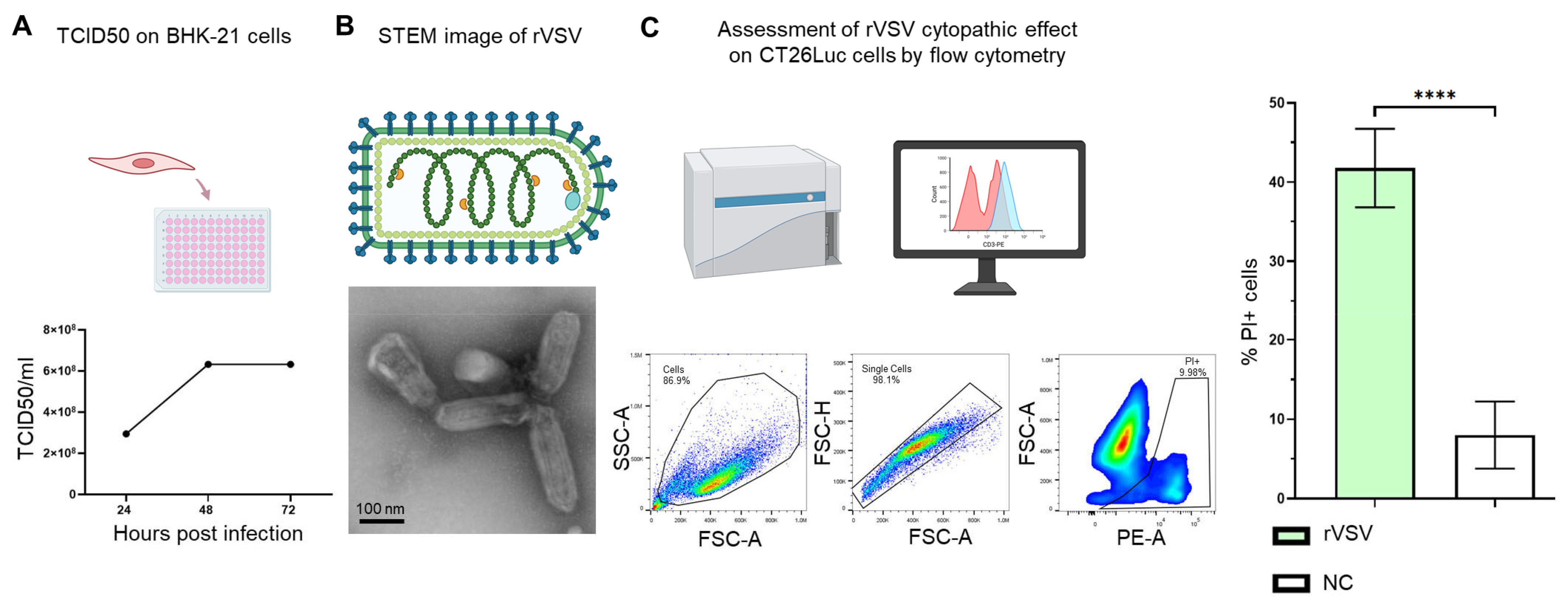 Enhanced Antitumor Effect of Oncolytic Virotherapy Combined with mRNA ...