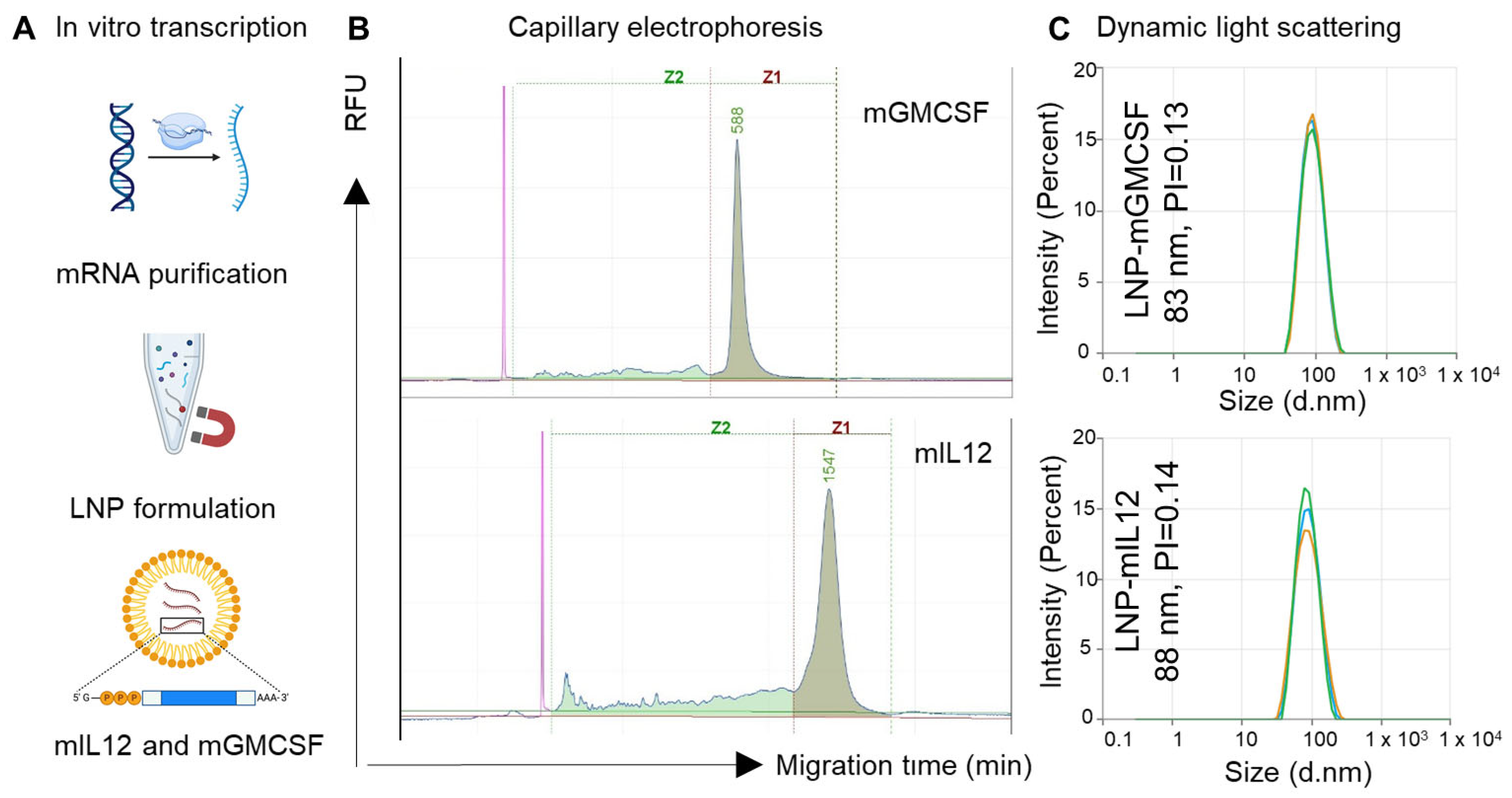 Enhanced Antitumor Effect of Oncolytic Virotherapy Combined with mRNA ...
