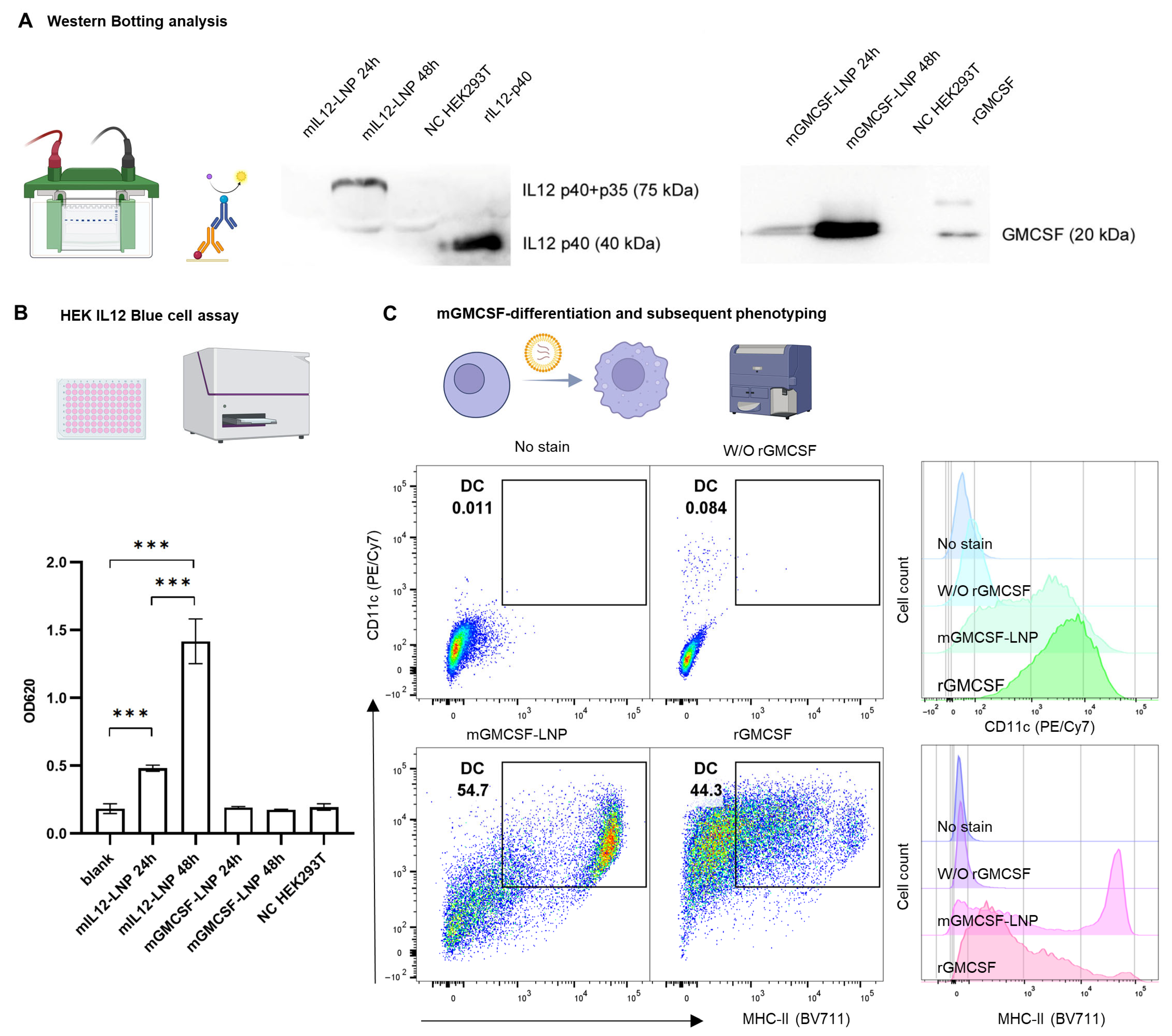 Enhanced Antitumor Effect of Oncolytic Virotherapy Combined with mRNA ...