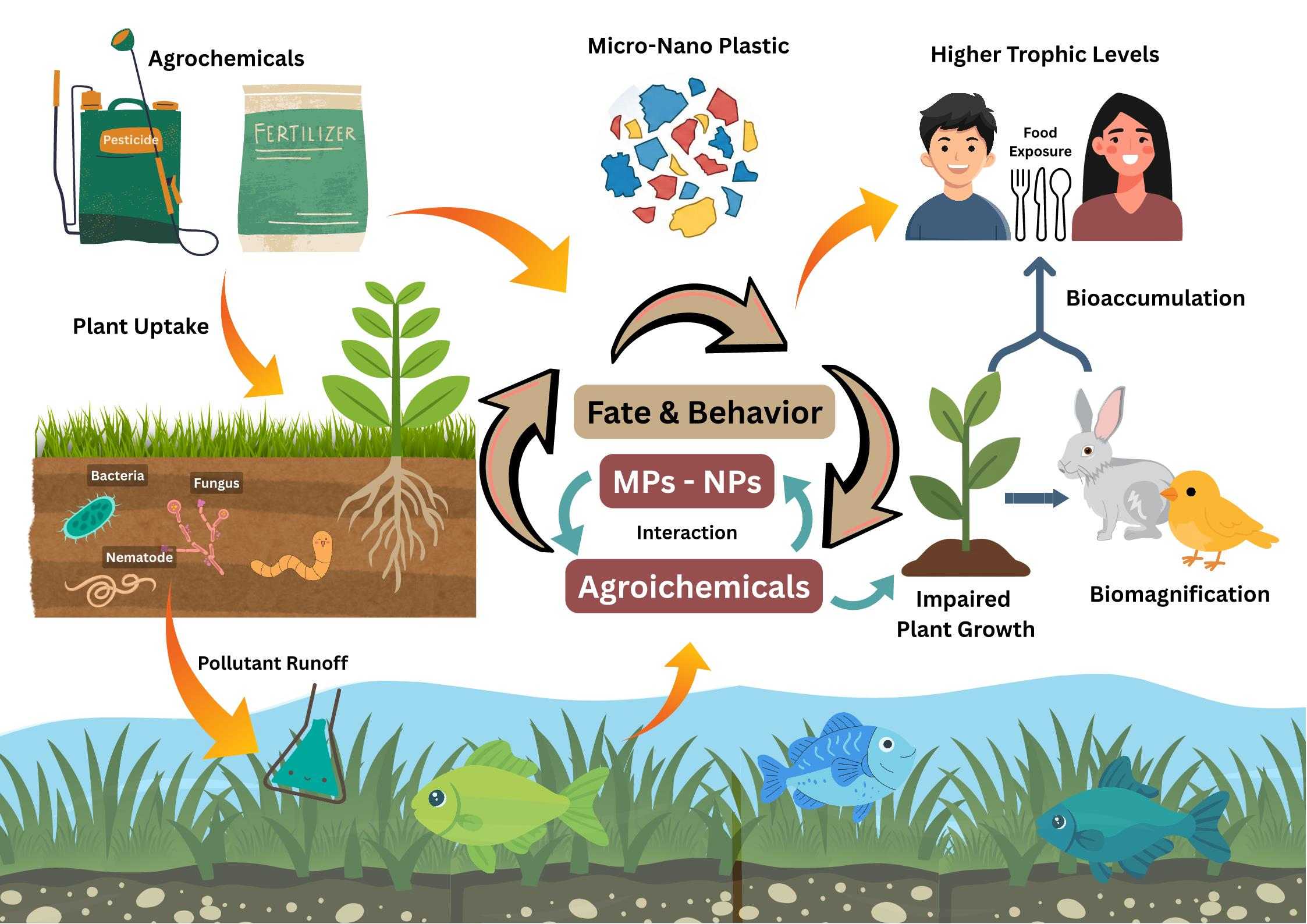Environmental Fate, Transformation, and Interactions of Agrochemicals ...