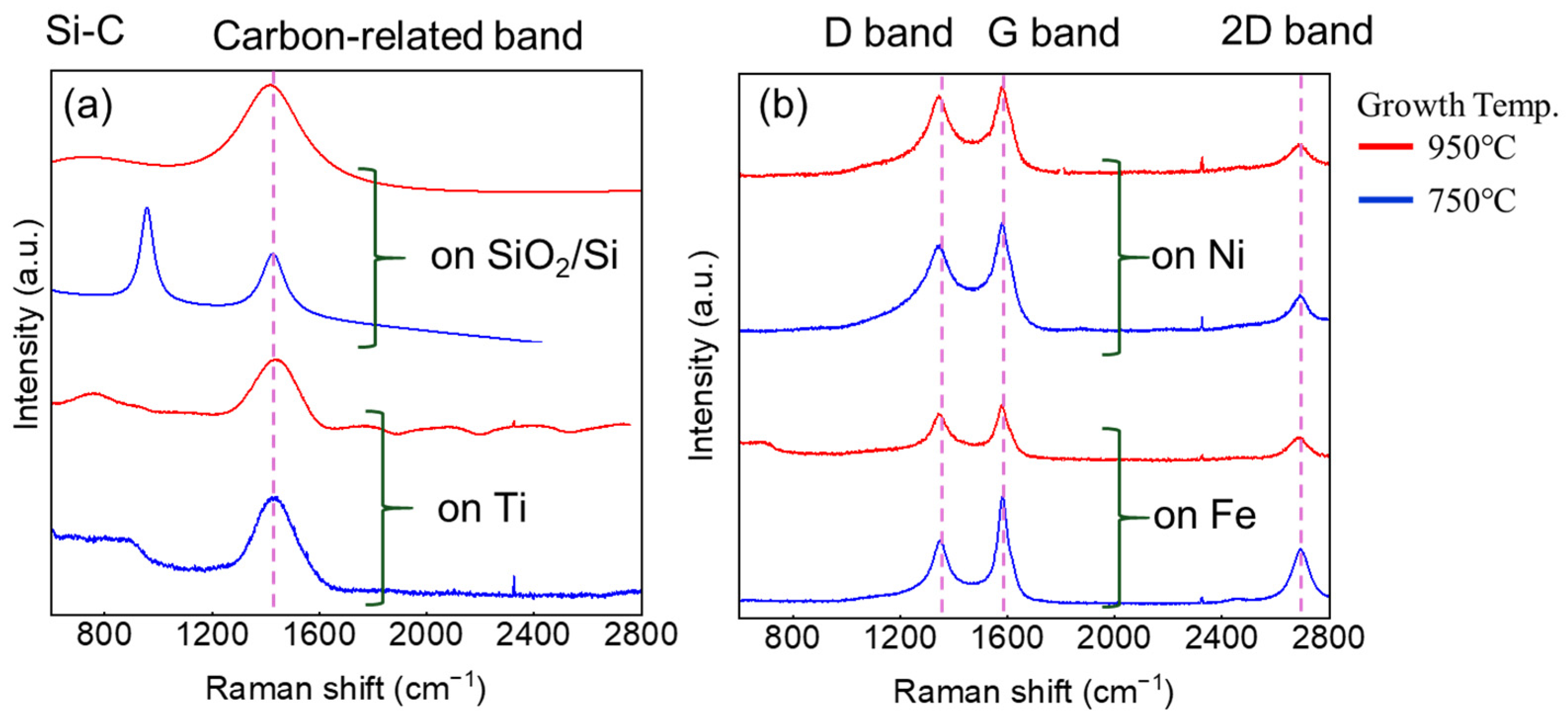 Controlled Formation and Transition Between CNT-like Structures and SiC ...