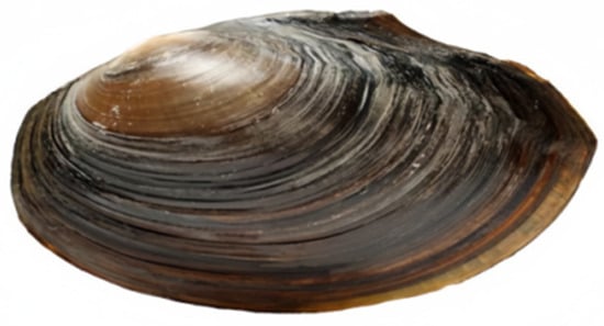 Calibration and Experimental Determination of Parameters for the ...