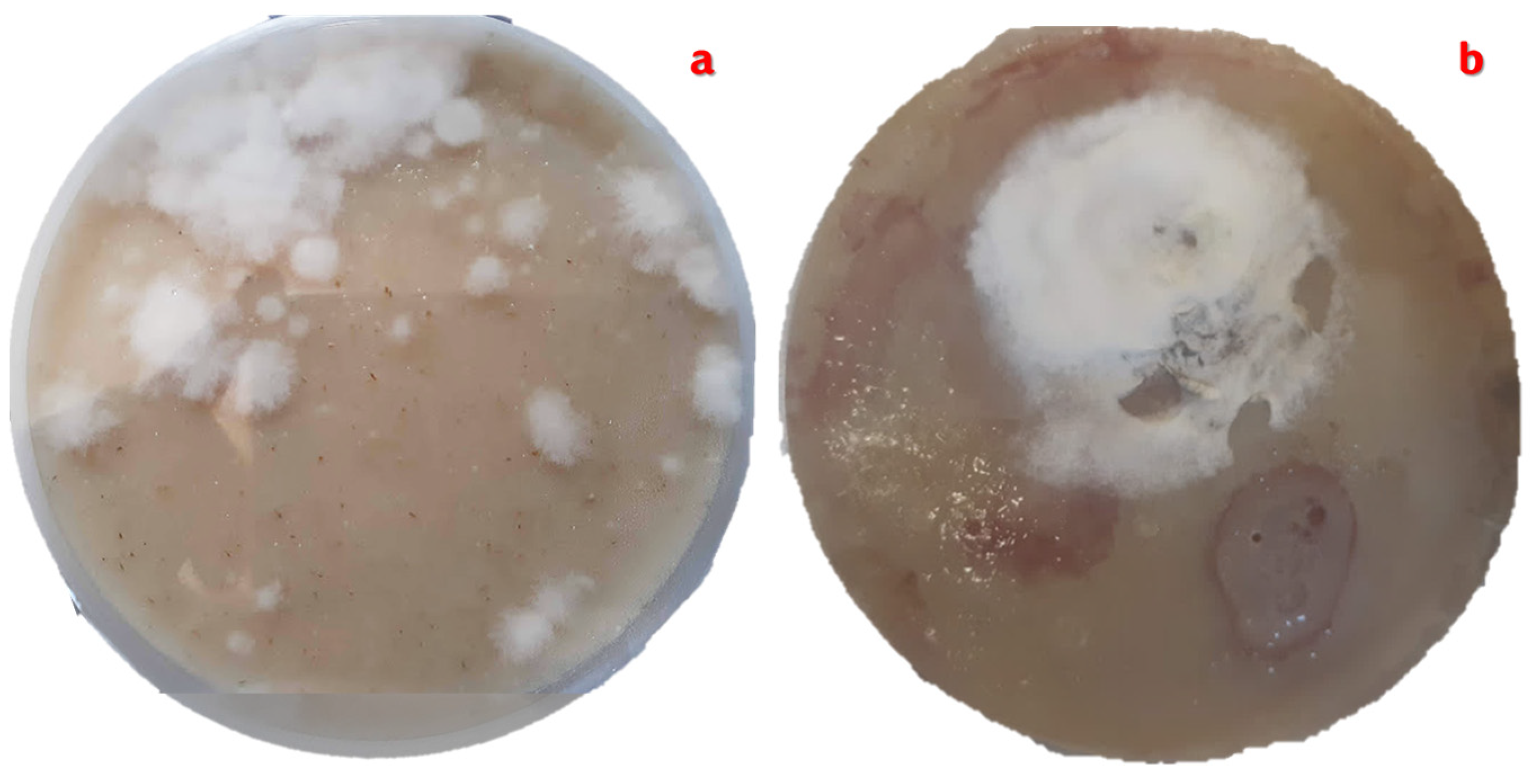 The Metabolism of Streptomyces avermitilis Isolated from Agricultural ...
