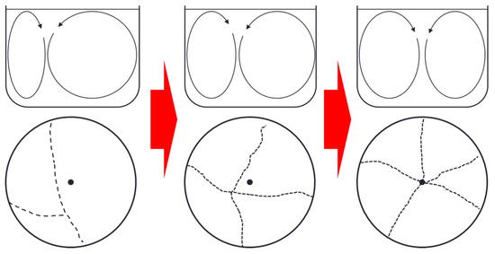 Development of Auto-Seeding System Using Image Processing Technology in ...