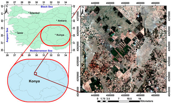Sensitivity Analysis of Multi-Temporal Sentinel-1 SAR Parameters to ...