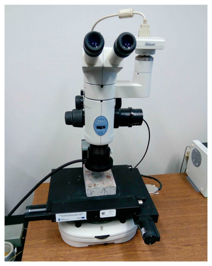 The Use of a Special Stereoscopic Microscope Attachment for the Sieve ...
