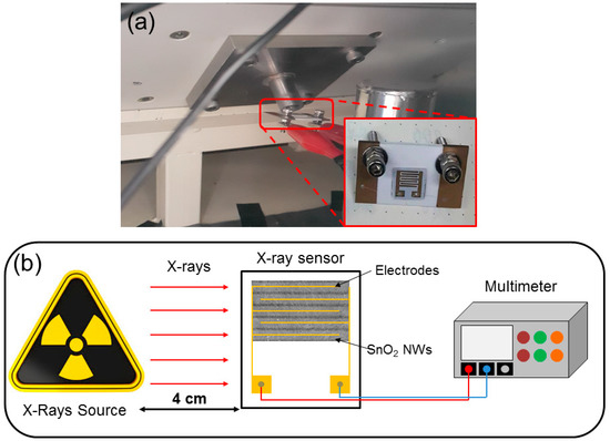 A Novel X-Ray Radiation Sensor Based on Networked SnO2 Nanowires