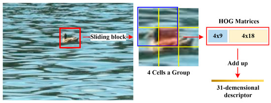 Combination of Spatial and Frequency Domains for Floating Object Detection on Complex Water Surfaces