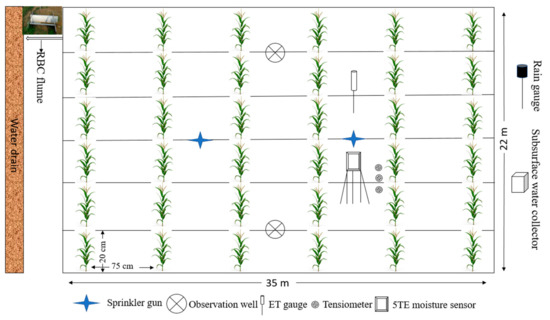 Applied Sciences | Free Full-Text | HYDRUS-1D Simulation of Soil Water ...