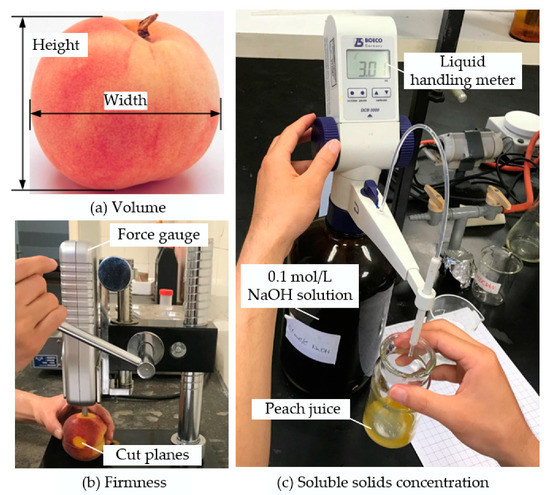 A Comprehensive Peach Fruit Quality Evaluation Method for Grading and ...
