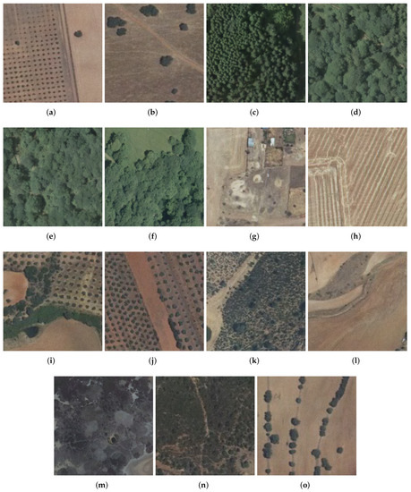 Grammar Guided Genetic Programming for Network Architecture Search and ...