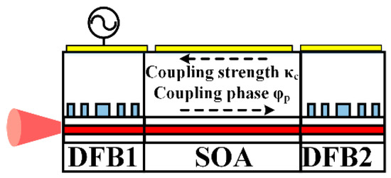 Modulation Bandwidth Enhancement of Monolithically Integrated Mutually ...
