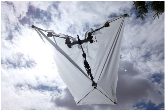 Winged Aerial Manipulation Robot with Dual Arm and Tail