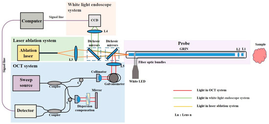 Integrated Multifunctional Laryngoscope for Medical Diagnosis and Treatment