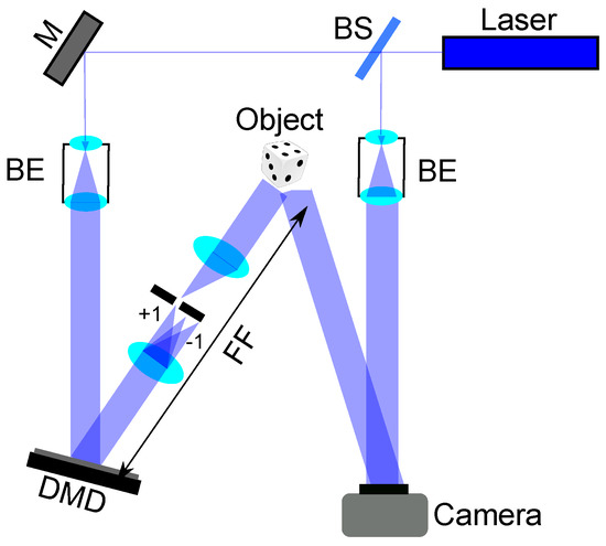 Speckle Noise Reduction in Digital Holography Using a DMD and Multi-Hologram Resampling