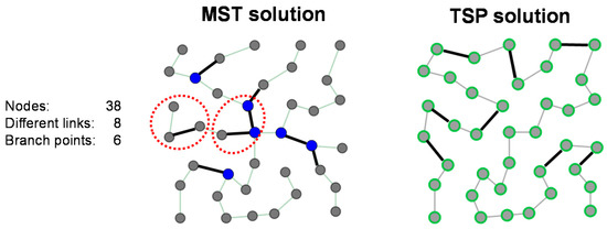 Converting MST to TSP Path by Branch Elimination