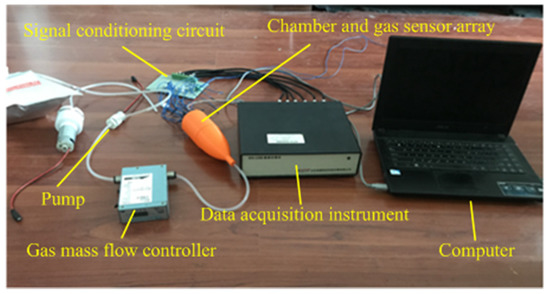 Detection of Volatile Organic Compounds (VOCs) in Livestock Houses ...
