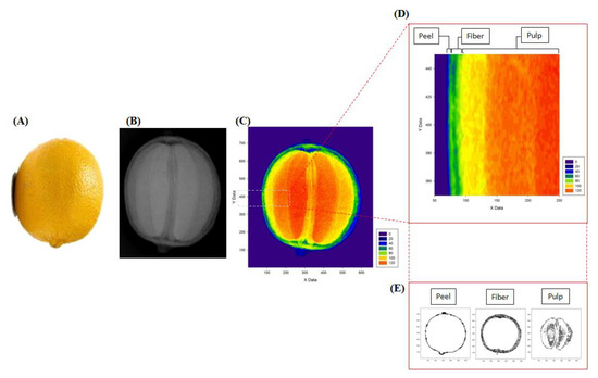 Assessment and Feasibility Study of Lemon Ripening Using X-ray Image of ...