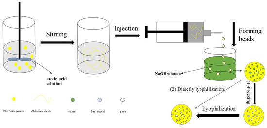 Preparation of Freeze-Dried Porous Chitosan Microspheres for the ...