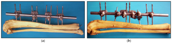 Biomechanical Performance Analysis of the Monolateral External Fixation ...
