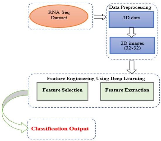 Analyzing RNA-Seq Gene Expression Data Using Deep Learning Approaches for Cancer Classification