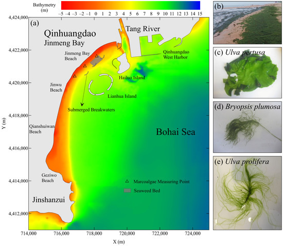 Numerical Modeling of a Green Tide Migration Process with Multiple Artificial Structures in the ...