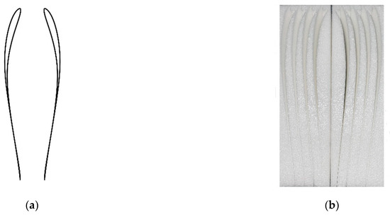 Applied Sciences | Special Issue : Bionic Unmanned Aircraft Systems