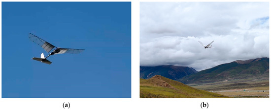 Applied Sciences | Special Issue : Bionic Unmanned Aircraft Systems