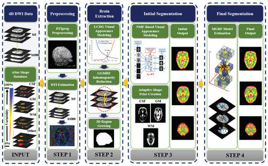 Segmentation of Infant Brain Using Nonnegative Matrix Factorization